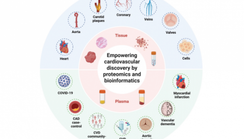 bioinformatics • Cardiovascular Proteomics