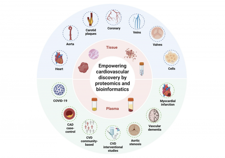 bioinformatics • Cardiovascular Proteomics
